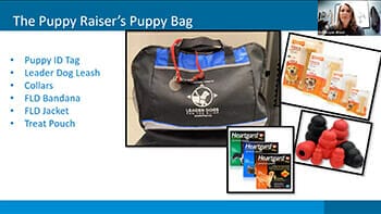 Life Cycle of a Leader Dog: Puppy Raising | Leader Dogs for the Blind